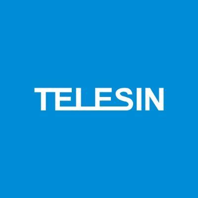 TELESIN Logo & Brand Assets (SVG, PNG and vector) - Brandfetch