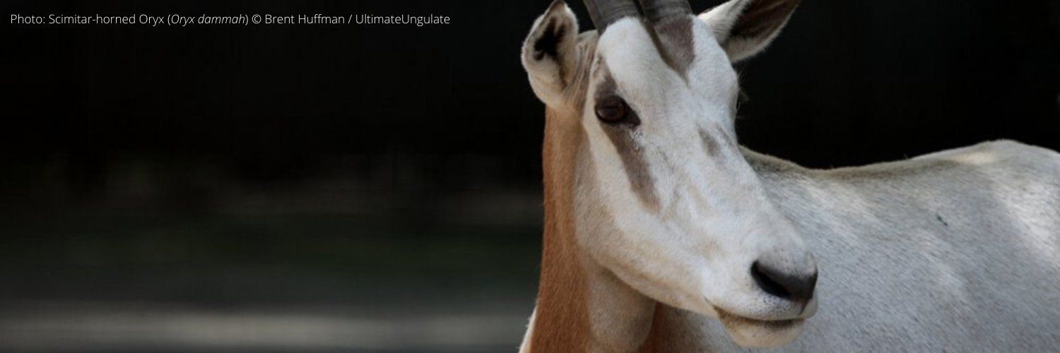 IUCN Red List Logo & Brand Assets (SVG, PNG and vector) - Brandfetch