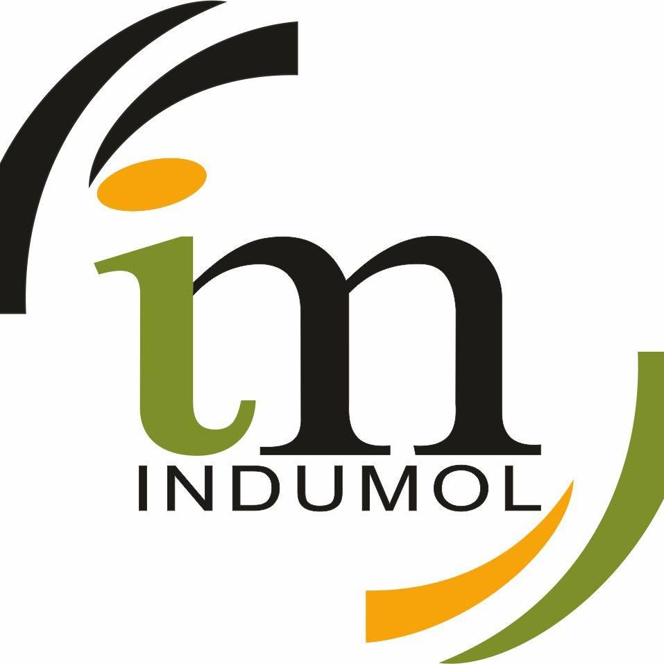 Industrias Molina Logo & Brand Assets (SVG, PNG and vector) - Brandfetch