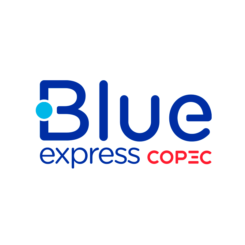 Blue Express Logo & Brand Assets (SVG, PNG and vector) - Brandfetch