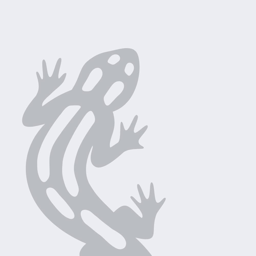 Salamander myWindow Logo & Brand Assets (SVG, PNG and vector) - Brandfetch