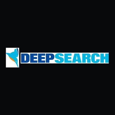 Deepsearch Logo & Brand Assets (SVG, PNG and vector) - Brandfetch