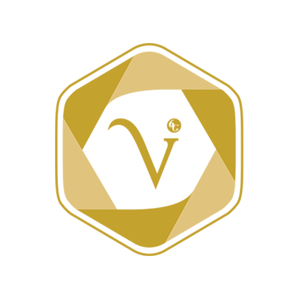 VCI Logo & Brand Assets (SVG, PNG and vector) - Brandfetch