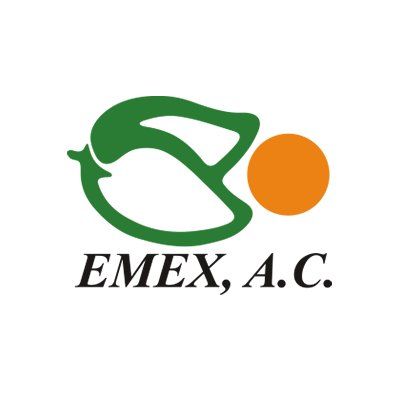EMEX Logo & Brand Assets (SVG, PNG and vector) - Brandfetch