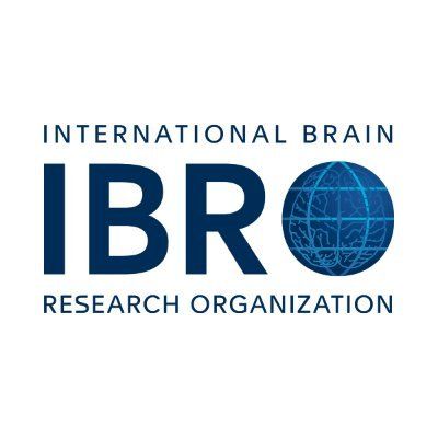 IBRO Logo & Brand Assets (SVG, PNG and vector) - Brandfetch