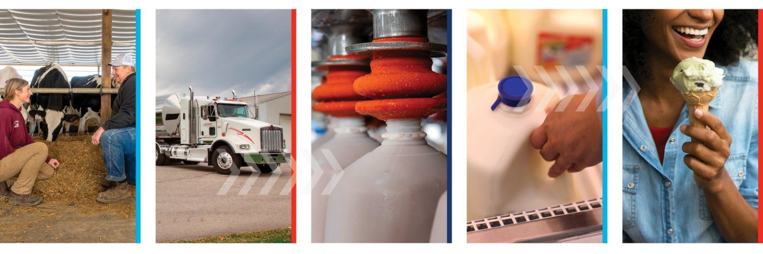 DFA Logo & Brand Assets (SVG, PNG and vector) - Brandfetch