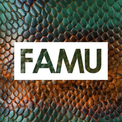 Florida A&M University Logo & Brand Assets (SVG, PNG and vector ...