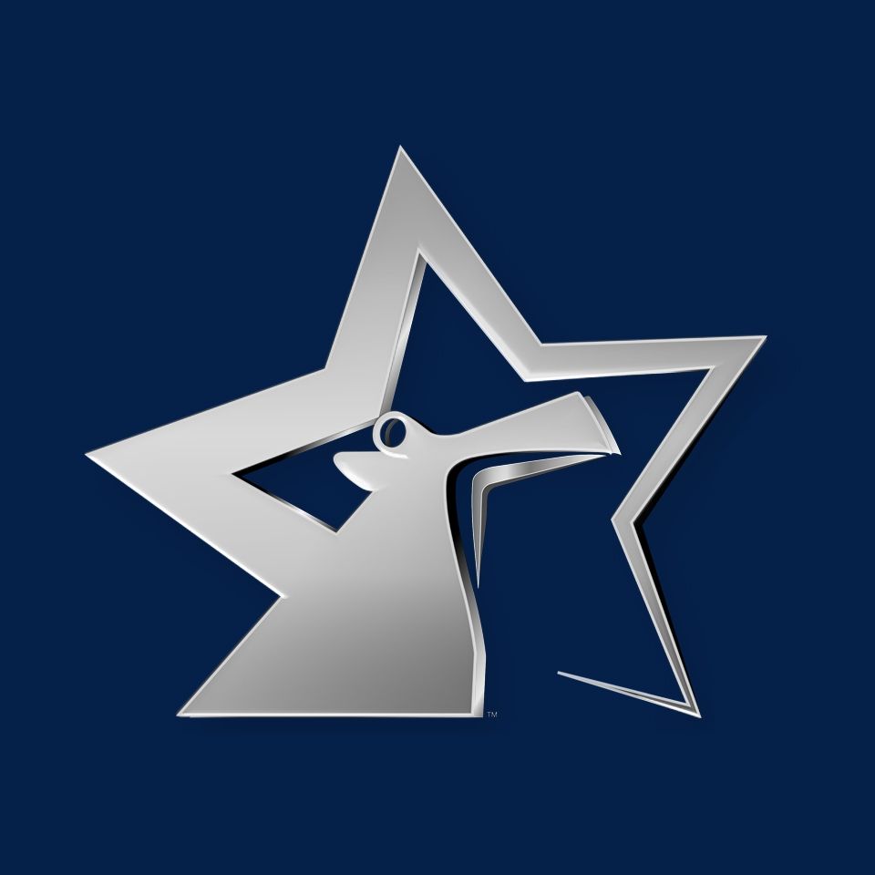 carnival internet logo vector