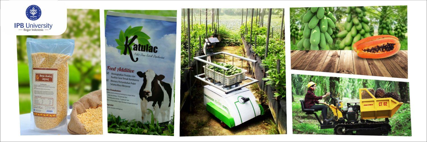 IPB Logo & Brand Assets (SVG, PNG and vector) - Brandfetch