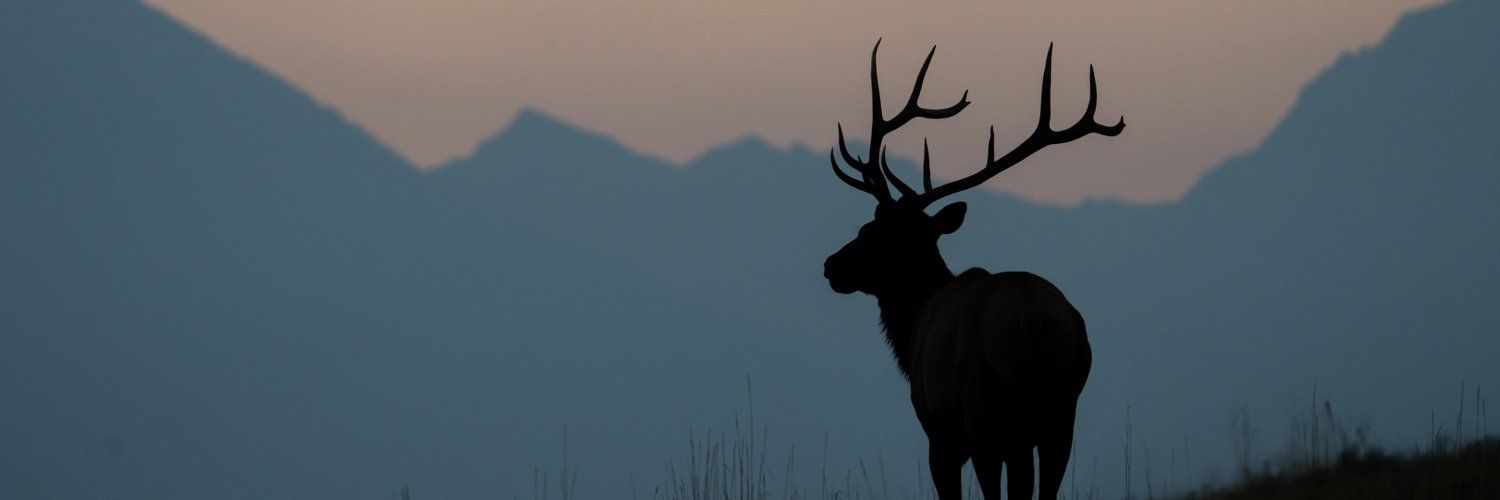 Vortex Optics Logo & Brand Assets (SVG, PNG and vector) - Brandfetch