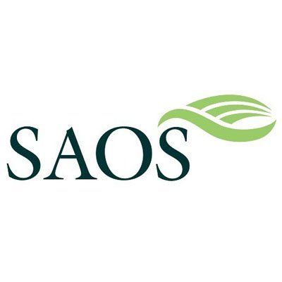 SAOS Logo & Brand Assets (SVG, PNG and vector) - Brandfetch