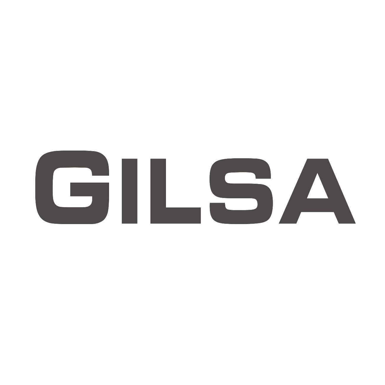GILSA Logo & Brand Assets (SVG, PNG and vector) - Brandfetch