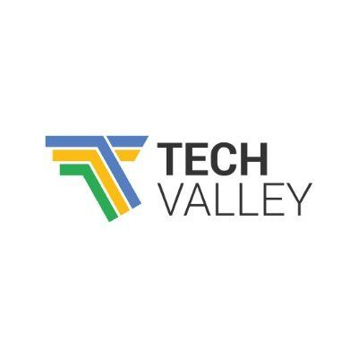 Tech Valley Pakistan Logo & Brand Assets (SVG, PNG and vector) - Brandfetch