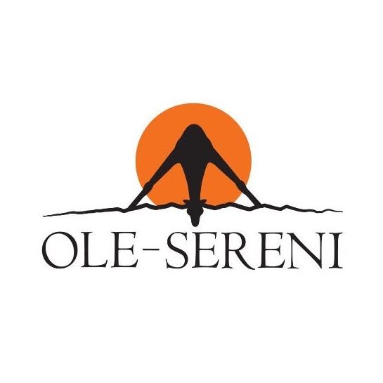 Ole Sereni Logo & Brand Assets (SVG, PNG and vector) - Brandfetch