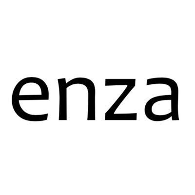 Enza Logo & Brand Assets (SVG, PNG and vector) - Brandfetch