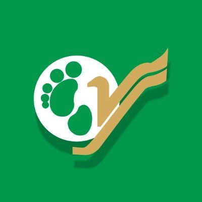 Yeti Airlines Logo & Brand Assets (SVG, PNG and vector) - Brandfetch