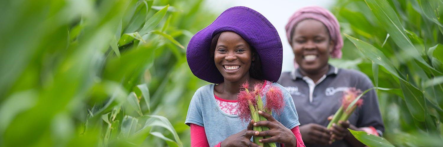 Shoprite Group Logo & Brand Assets (SVG, PNG and vector) - Brandfetch