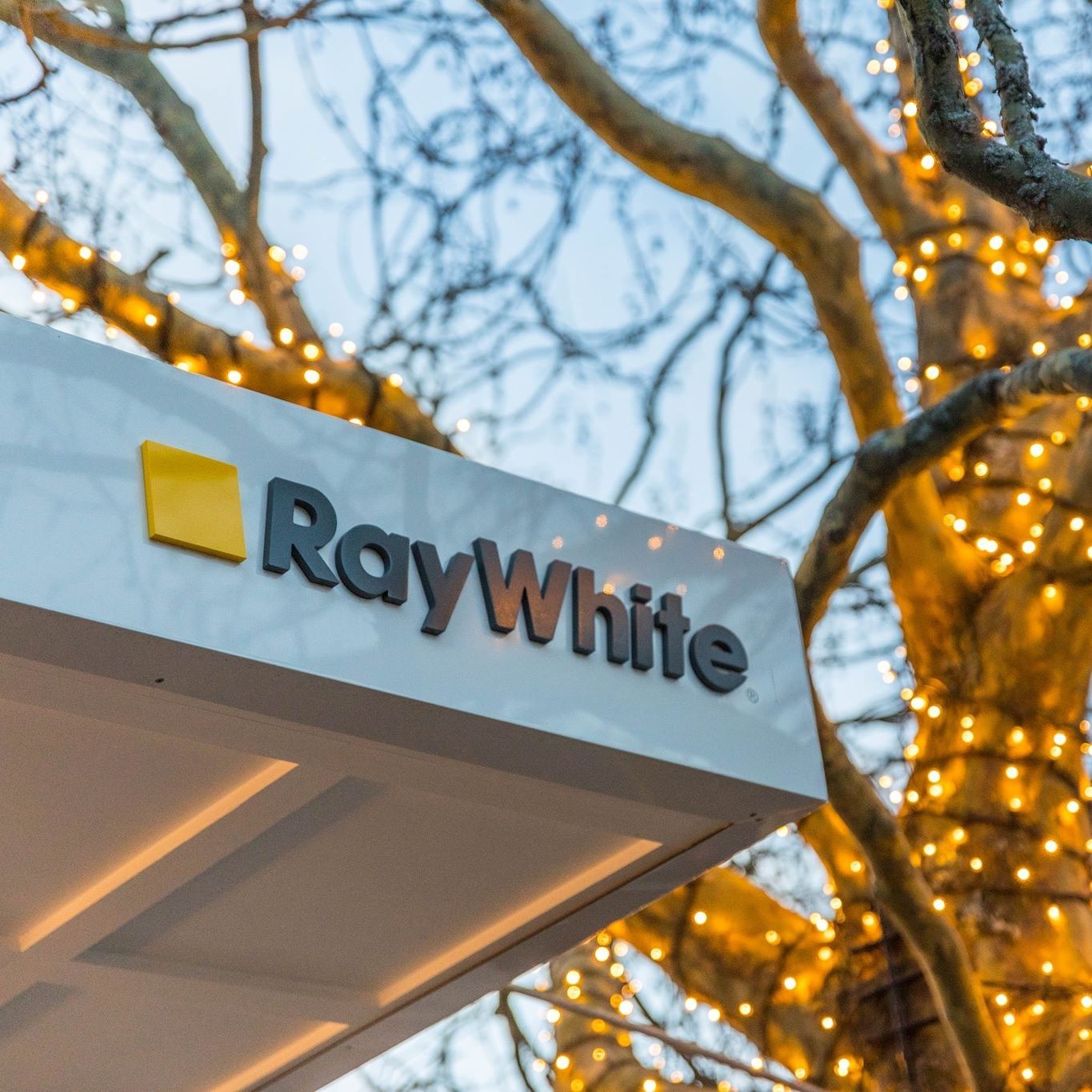 Ray White Remuera | Auckland Logo & Brand Assets (SVG, PNG and vector ...