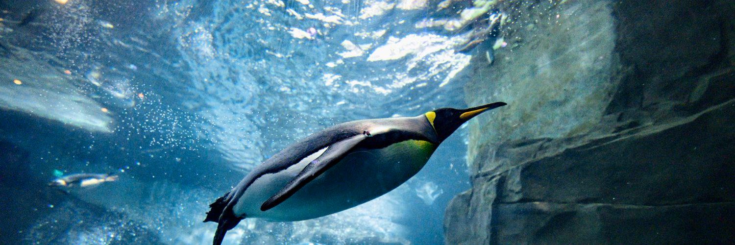 SeaWorld Logo & Brand Assets (SVG, PNG and vector) - Brandfetch