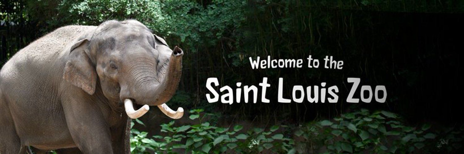 Saint Louis Zoo Logo & Brand Assets (SVG, PNG and vector) - Brandfetch