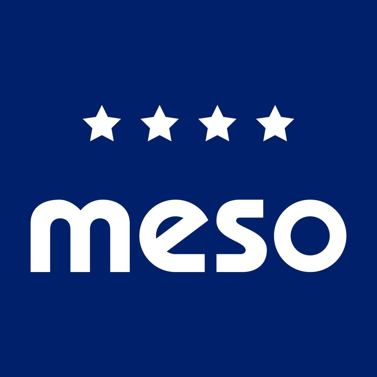MESO Reisen Logo & Brand Assets (SVG, PNG and vector) - Brandfetch