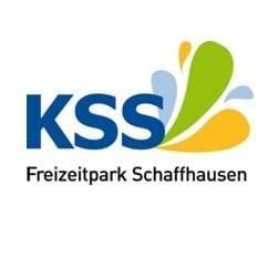 KSS Logo & Brand Assets (SVG, PNG and vector) - Brandfetch