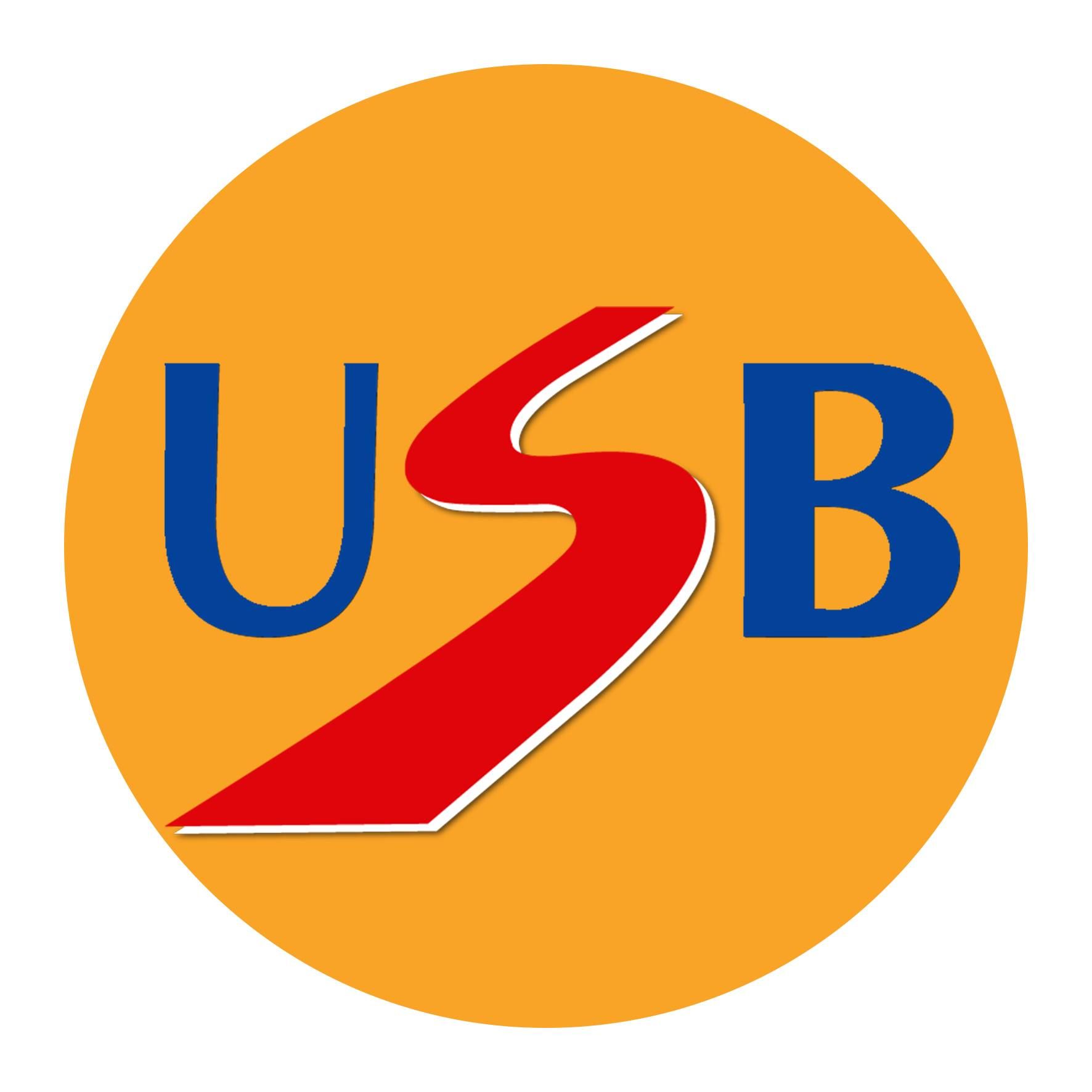 Salesiana Logo & Brand Assets (SVG, PNG and vector) - Brandfetch