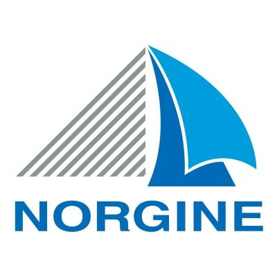 Norgine Logo & Brand Assets (SVG, PNG and vector) - Brandfetch