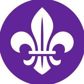 World Scouting Logo & Brand Assets (SVG, PNG and vector) - Brandfetch