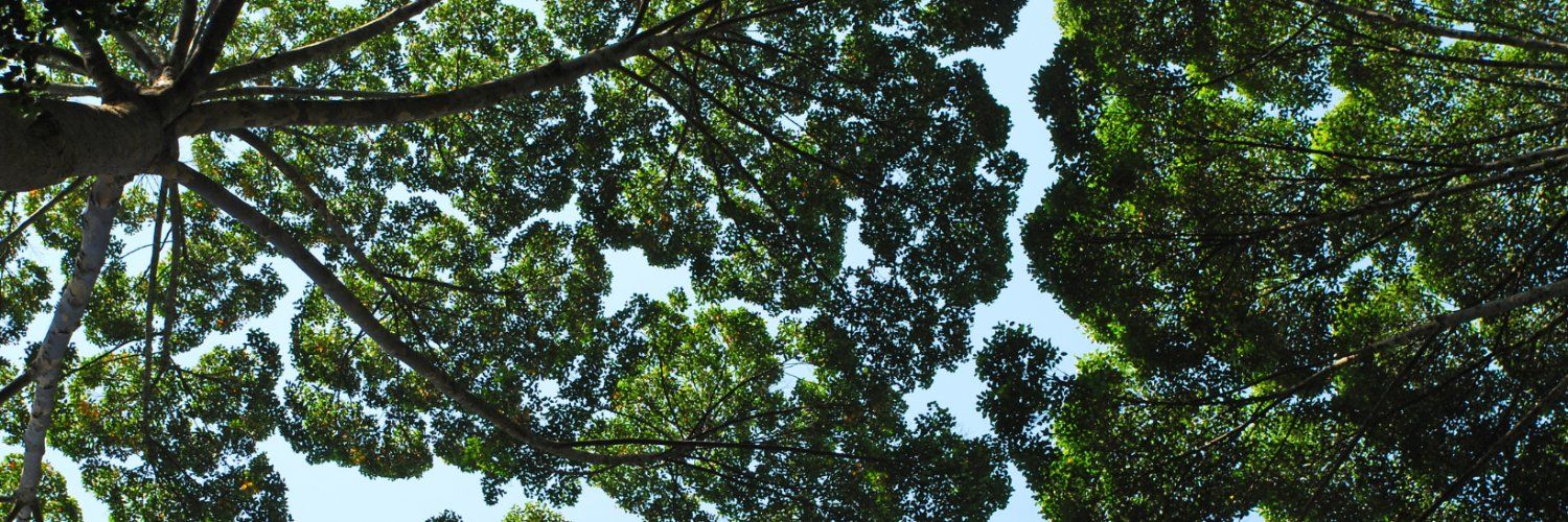 UN Environment Programme Logo & Brand Assets (SVG, PNG and vector ...