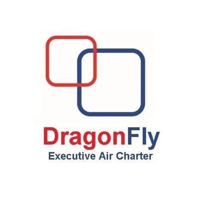 DragonFly Executive Air Charter Logo & Brand Assets (SVG, PNG and ...