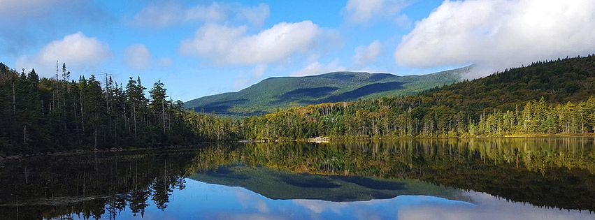 L.L.Bean Logo & Brand Assets (SVG, PNG and vector) - Brandfetch