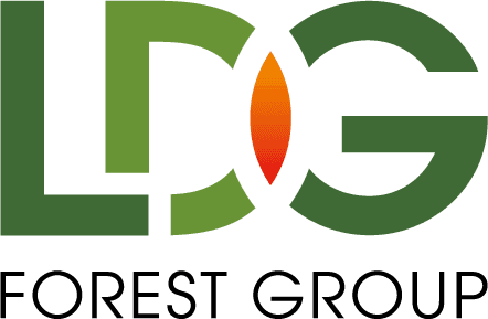 LDG Forest Group A Logo & Brand Assets (SVG, PNG and vector) - Brandfetch