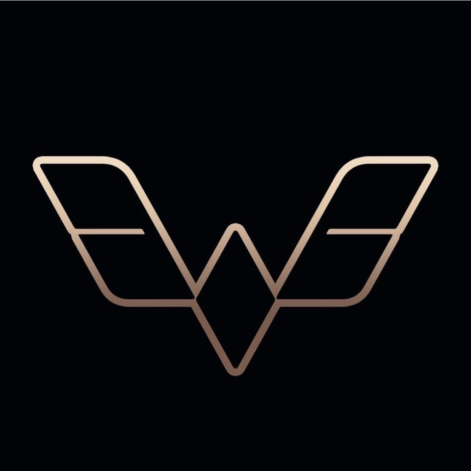 wuling logo evolution