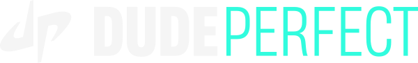 Dude Perfect Logo & Brand Assets (SVG, PNG and vector) - Brandfetch