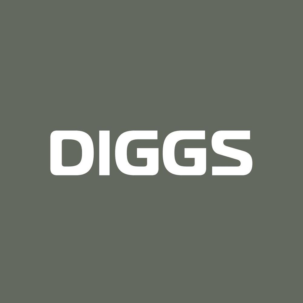 Diggs Logo & Brand Assets (SVG, PNG and vector) - Brandfetch