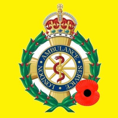 London Ambulance Logo & Brand Assets (SVG, PNG and vector) - Brandfetch