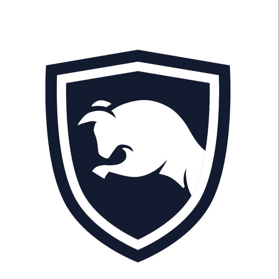Virtus Group GmbH Logo & Brand Assets (SVG, PNG and vector) - Brandfetch