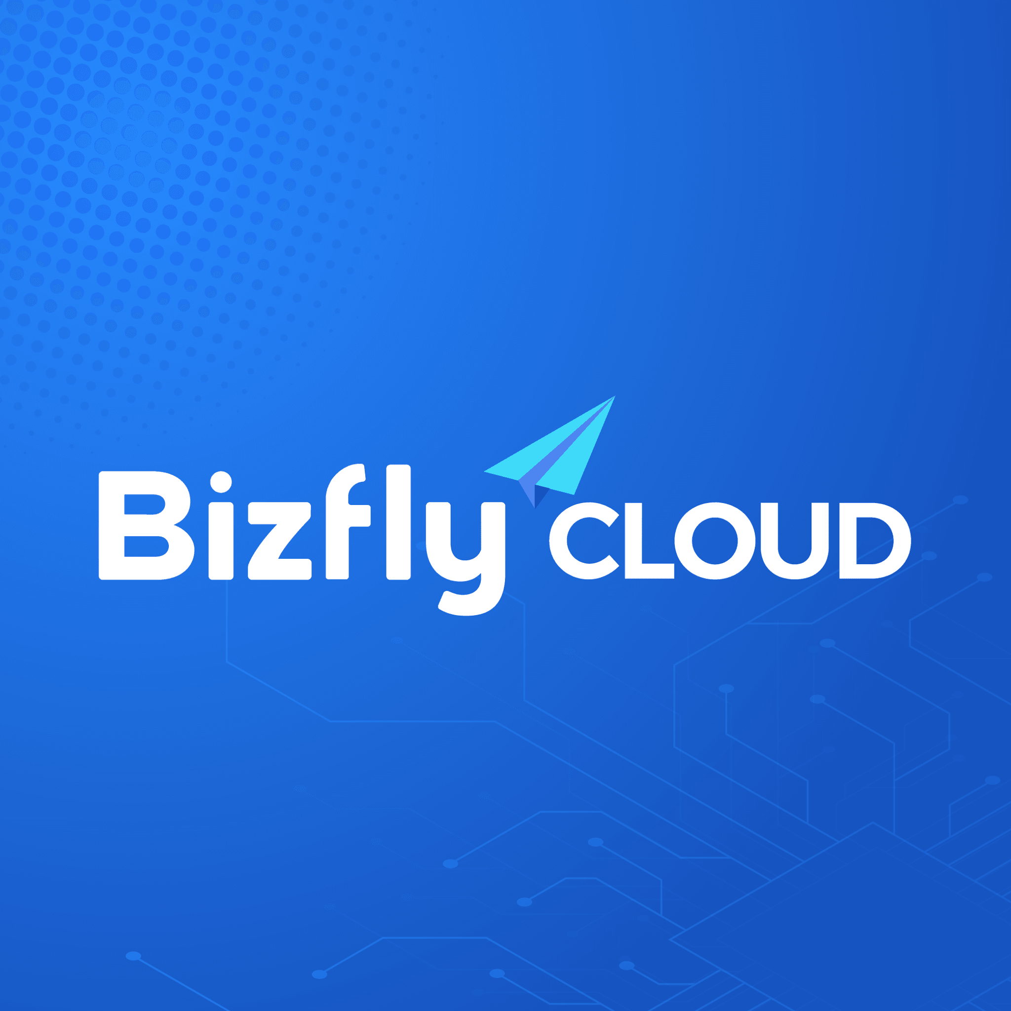 Bizfly Cloud Logo & Brand Assets (SVG, PNG and vector) - Brandfetch