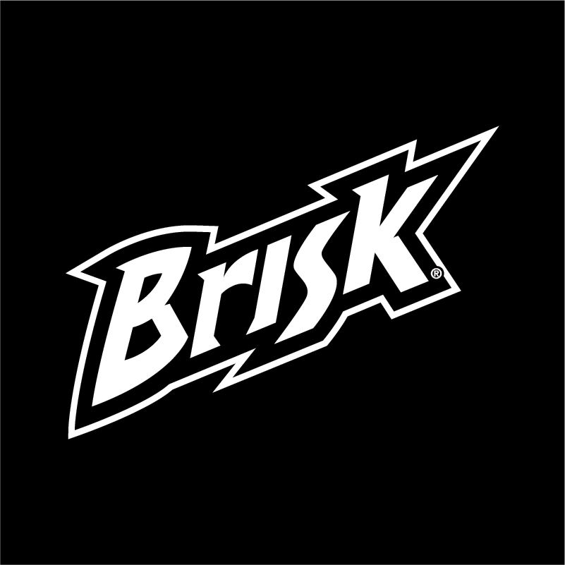 Brisk Logo & Brand Assets (SVG, PNG and vector) - Brandfetch