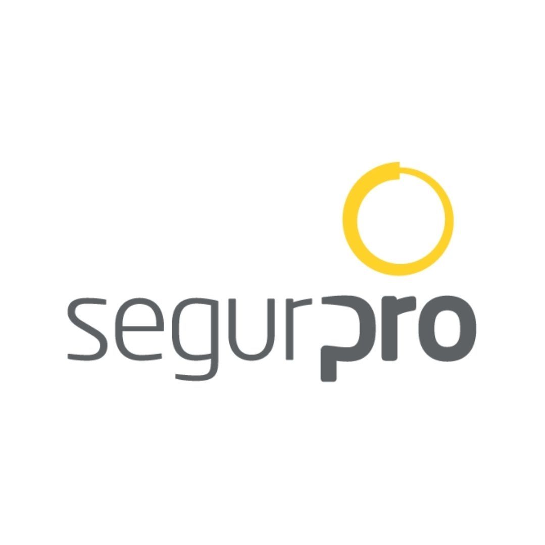 SegurPro Logo & Brand Assets (SVG, PNG and vector) - Brandfetch