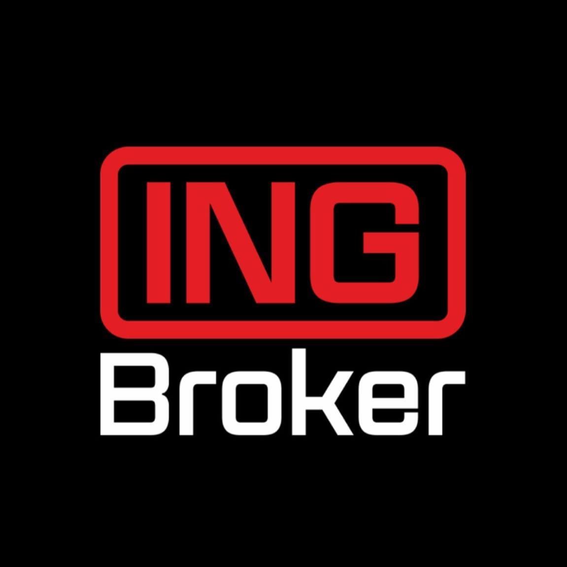 INSURANCE ING BROKER Logo & Brand Assets (SVG, PNG and vector) - Brandfetch