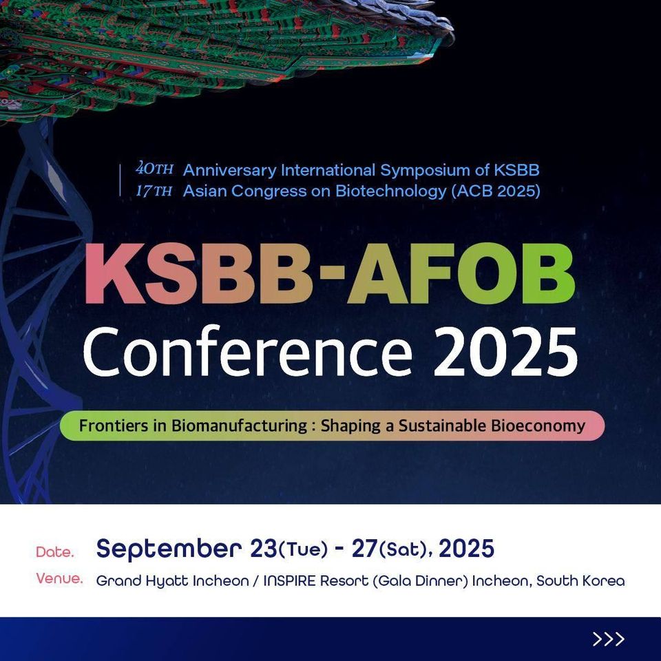 KSBB Logo & Brand Assets (SVG, PNG and vector) - Brandfetch