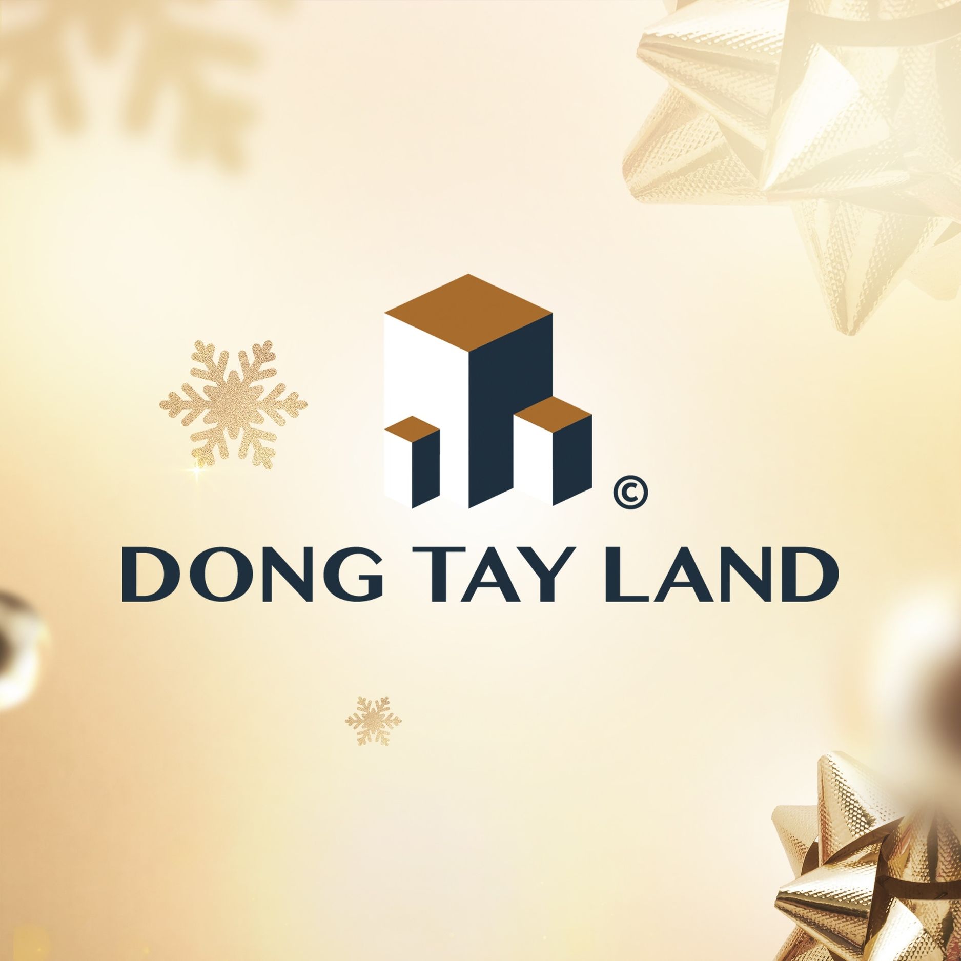 Dong Tay Land Corporation Logo & Brand Assets (SVG, PNG and vector ...