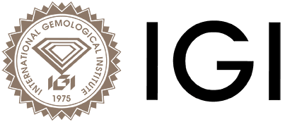 IGI India Logo & Brand Assets (SVG, PNG and vector) - Brandfetch