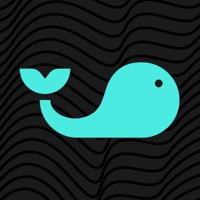 Splash Sports Logo & Brand Assets (SVG, PNG and vector) - Brandfetch