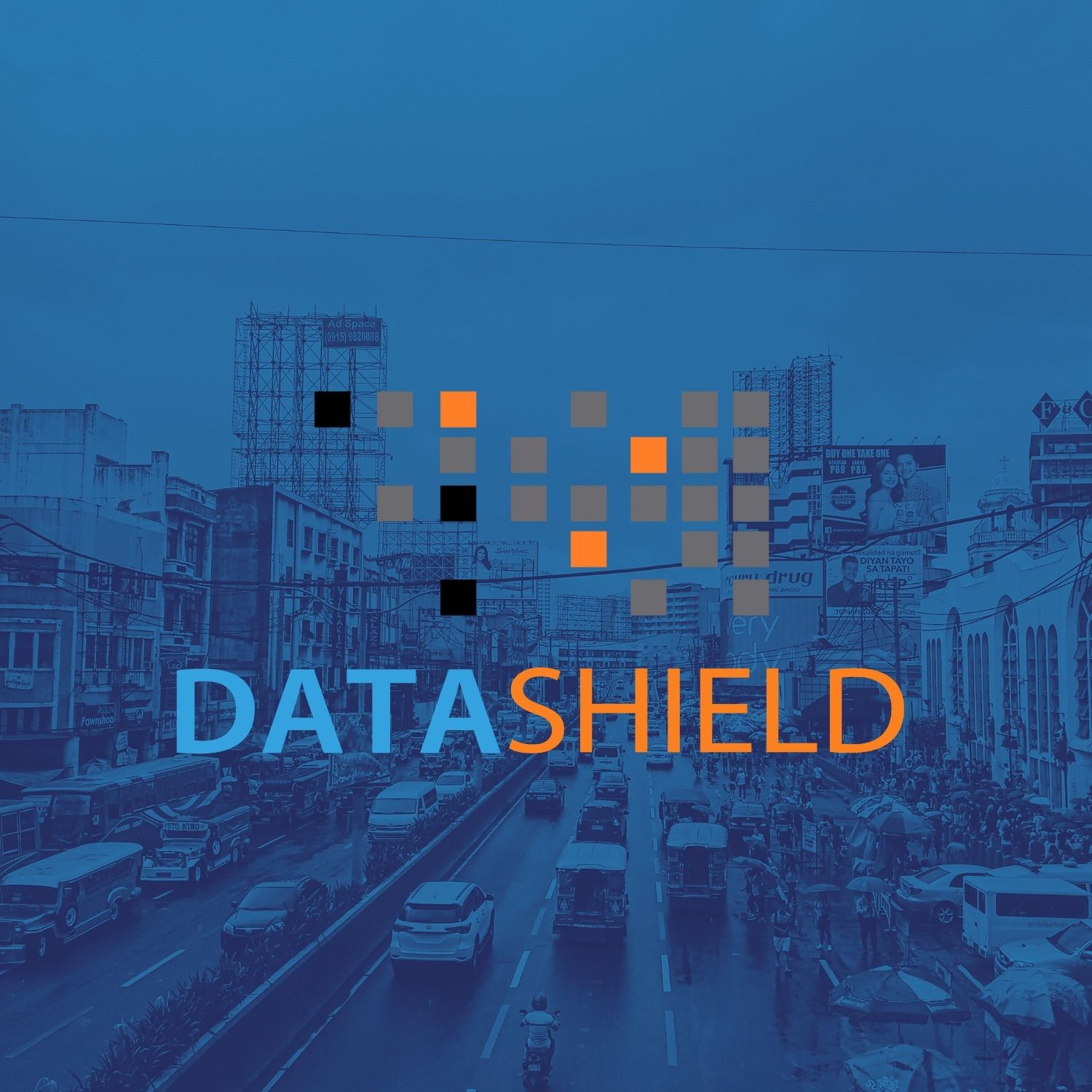 Datashield Logo & Brand Assets (SVG, PNG and vector) - Brandfetch