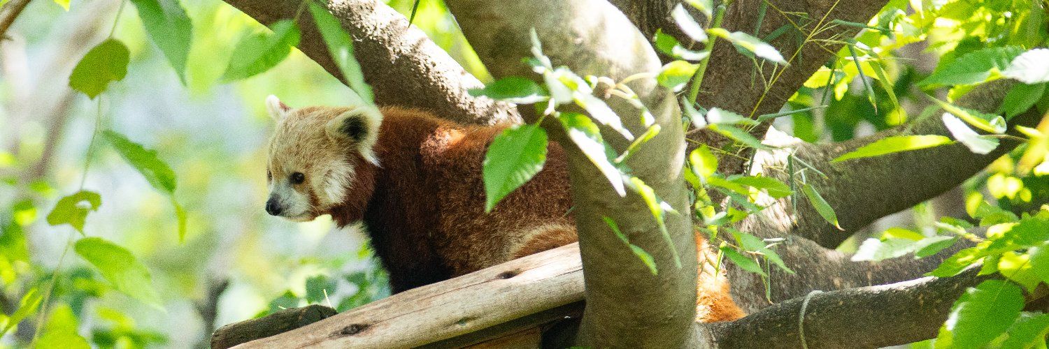 indianapolis zoo logo