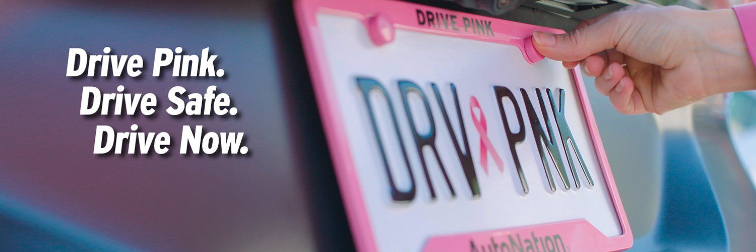 AutoNation Logo & Brand Assets (SVG, PNG and vector) - Brandfetch