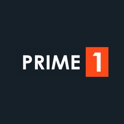 Prime One Global LLC Logo & Brand Assets (SVG, PNG and vector) - Brandfetch